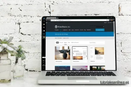 Cómo hacer tu sitio web con WordPress